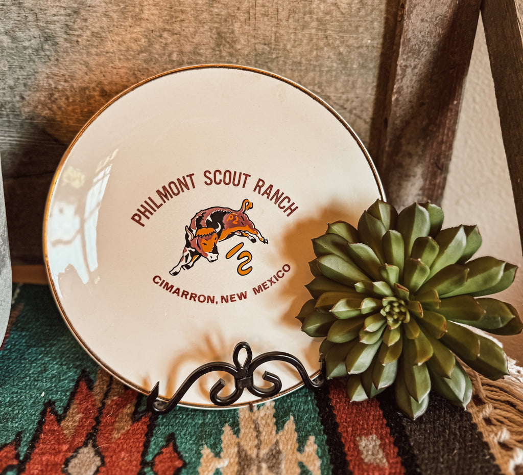 Vintage Philmont Scout Ranch Plate – casademyers.com